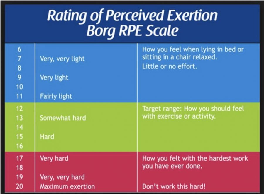 累得跟狗一樣到底是多累？看看你的RPE有多少 - 健身運動 - 健康生活 | 運動視界 Sports Vision