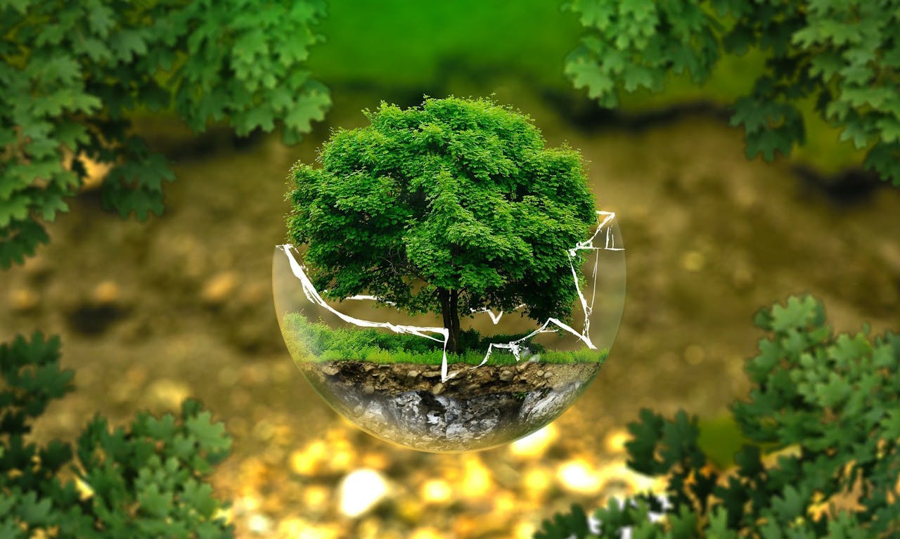 conserve、preserve、reserve，你還是傻傻分不清楚嗎？ - TNL The News Lens 關鍵評論網