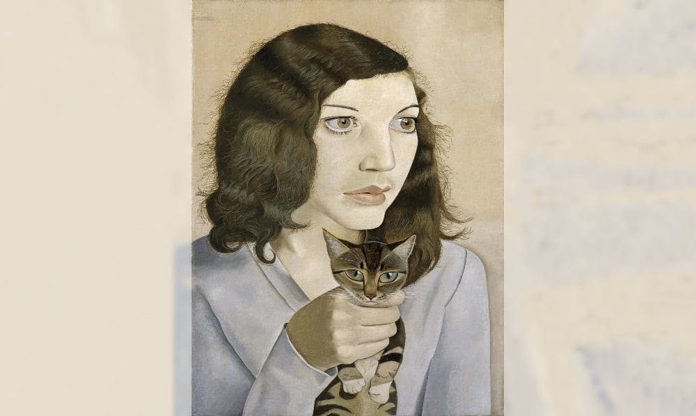 看來可疑的「動物傳心」，為何仍有人願意一試？ - TNL The News Lens 關鍵評論網