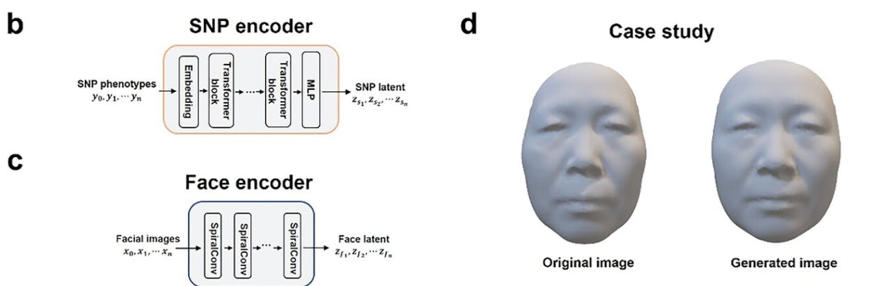 中國團隊開發AI模型Difface，用DNA序列精準生成人臉，可用於執法也引發隱私疑慮 - TNL The News Lens 關鍵評論網