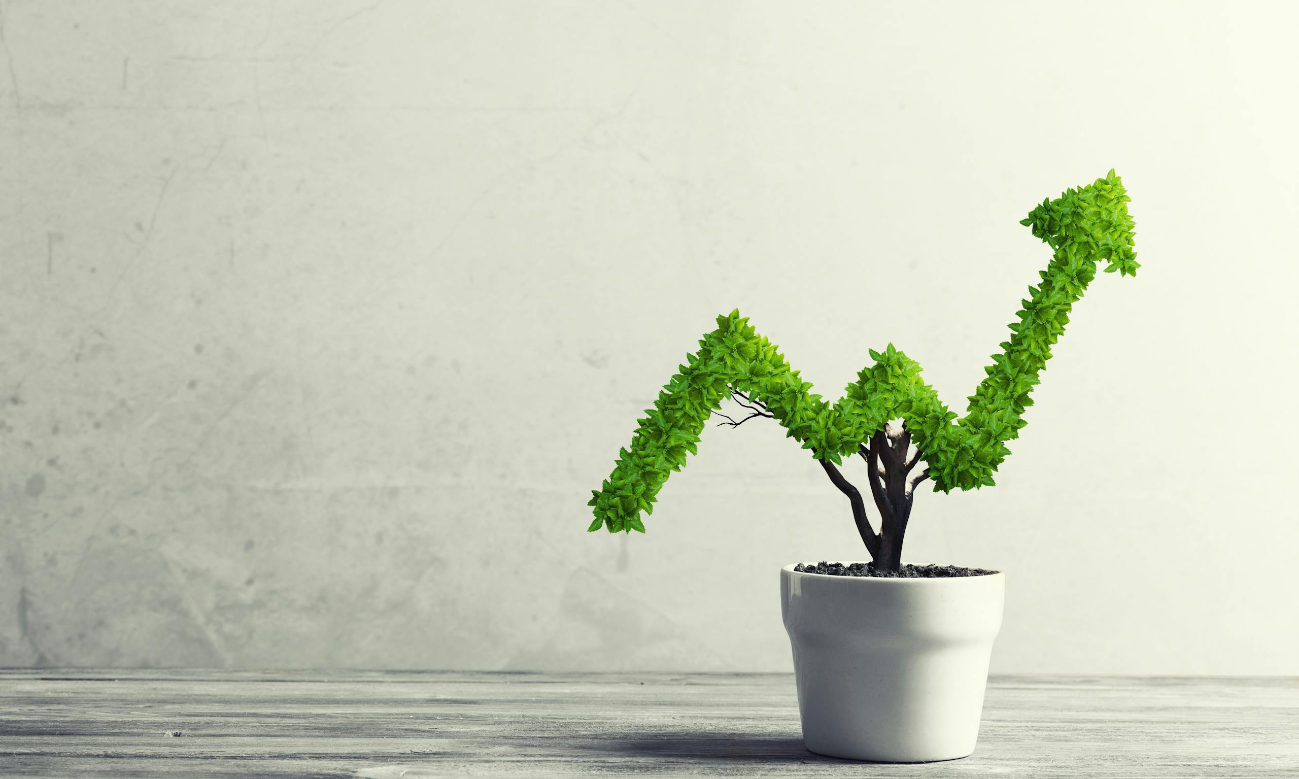 raise和rise都是「增加」，用法與差別是什麼？ - TNL The News Lens 關鍵評論網