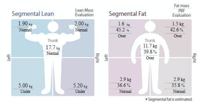 何謂C、I、D型體態？健身教練教你讀懂「身體組成分析」報告 - TNL The News Lens 關鍵評論網