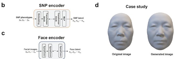 中國團隊開發AI模型Difface，用DNA序列精準生成人臉，可用於執法也引發隱私疑慮 - TNL The News Lens 關鍵評論網