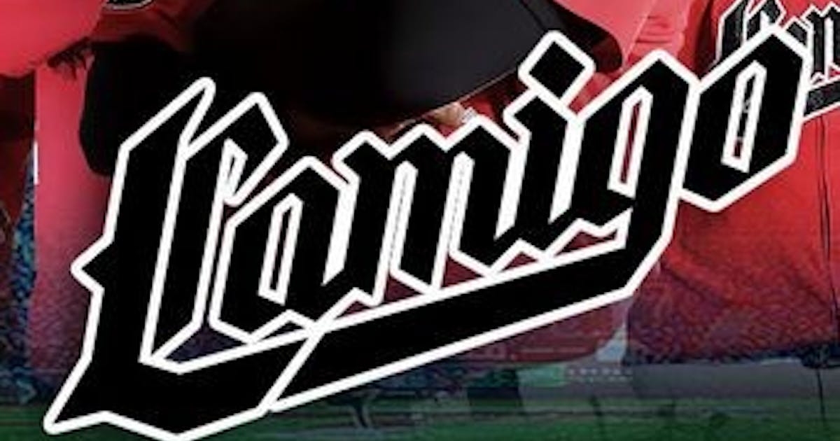 Logo抄襲事件：Lamigo桃猿亡羊補牢，猶未晚矣 - 中職 - 棒球 | 運動視界 Sports Vision