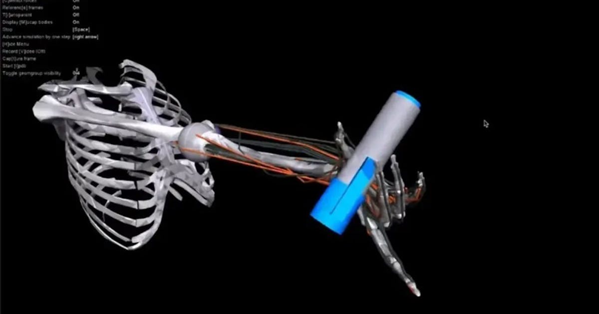 Meta 人工智慧訓練平台 MyoSuite 發表 讓虛擬人物肢體活動更加擬真 可應用在元宇宙、數位雙生或模擬等領域 (177758) - Cool3c